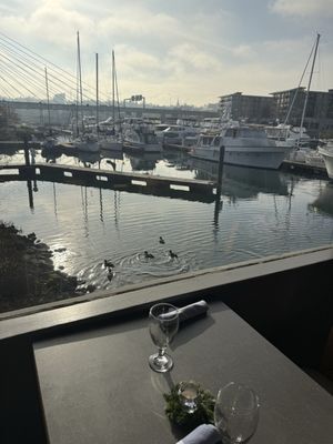 JOHNNY’S DOCKS - Updated December 2025 - 51 Photos & 11 Reviews - 1900 ...