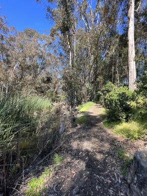 SCRIPPS MIRAMAR RANCH LIBRARY - Updated December 2025 - 105 Photos & 57 ...