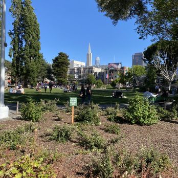 WASHINGTON SQUARE PARK - Updated October 2025 - 805 Photos & 209 ...