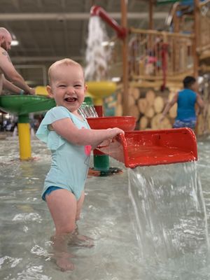 GREAT WOLF LODGE - Updated July 2024 - 221 Photos & 192 Reviews - 1700 ...