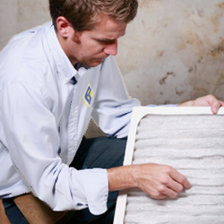 EDWIN STIPE - 23 Photos & 26 Reviews - 1131 S 25th St, Easton ...