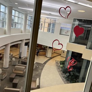 SENTARA NORFOLK GENERAL HOSPITAL - Updated May 2025 - 53 Photos & 72 ...