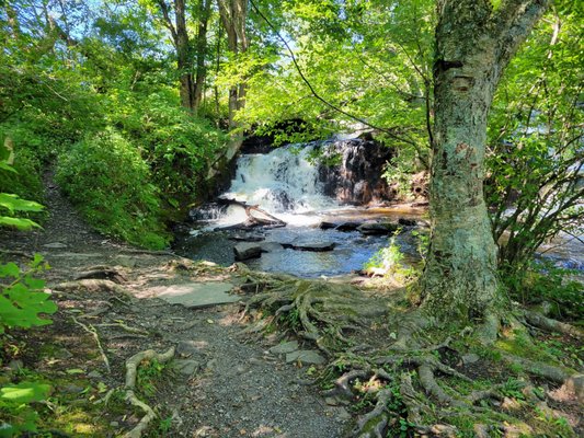 SHOHOLA FALLS - Updated May 2026 - 26 Photos & 10 Reviews - Shohola ...