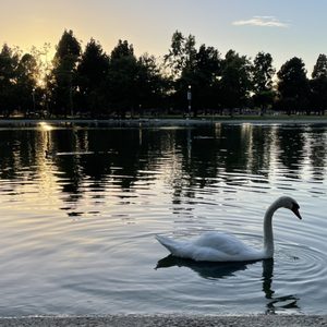 EL DORADO EAST REGIONAL PARK - 484 Photos & 173 Reviews - Parks - 7550 ...