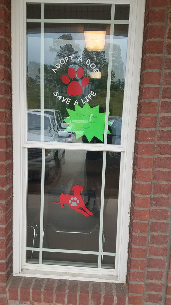 ADOPTION FIRST ANIMAL RESCUE - 100 Fall Creek Dr, Jacksonville, North ...