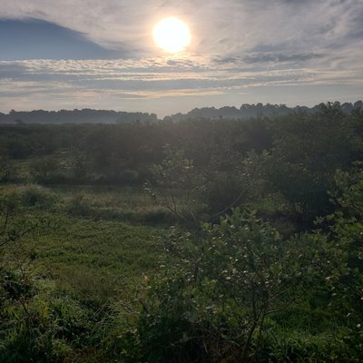 BRYANT BLUEBERRY FARM - Updated July 2025 - 38 Photos - 6900 Oak Park ...