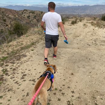 STOUGH CANYON NATURE CENTER - Updated February 2026 - 404 Photos & 100 Reviews - 2300 Walnut Ave ...