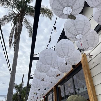 DART COFFEE CO - 457 Photos & 235 Reviews - 121 E Yanonali St, Santa ...