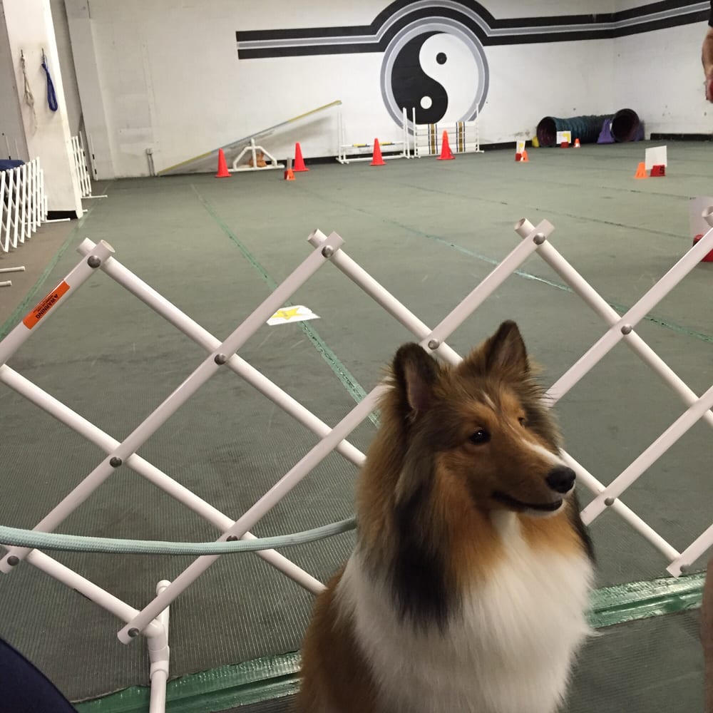 PAWS IN MOTION - Updated September 2025 - 10 Reviews - 8935 SW 129th St ...