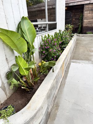 CASA VERDE LANDSCAPING & GARDEN SERVICE - Updated October 2025 - 257 ...