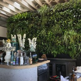 COLITA - Updated April 2025 - 1437 Photos & 584 Reviews - 5400 Penn Ave ...