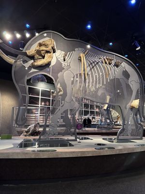 WESTERN SCIENCE CENTER - Updated June 2025 - 251 Photos & 77 Reviews ...