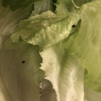 SPROUTS FARMERS MARKET - Updated March 2025 - 38 Photos & 54 Reviews ...