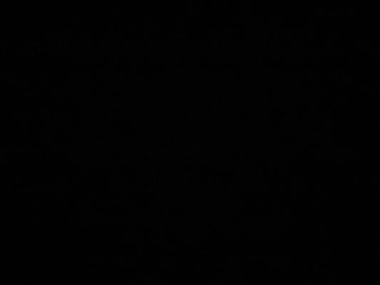 FUN NATION - Updated December 2025 - 14 Reviews - 4518 W Congress St ...