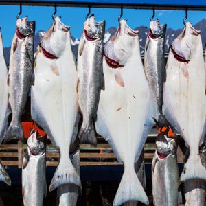 BOERNER FIRE ARMS - Updated January 2026 - 13 Photos & 21 Reviews ...