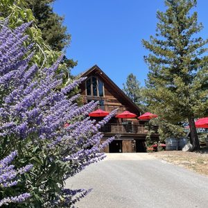 LA CREMA ESTATE AT SARALEE’S VINEYARD - 547 Photos & 142 Reviews - 3575 ...