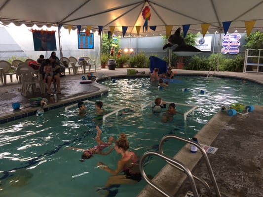 NOONAN FAMILY SWIM SCHOOL - Updated August 2024 - 19 Photos & 62 ...