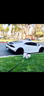 O’GARA COACH LAMBORGHINI & BENTLEY - Updated April 2026 - 45 Photos ...
