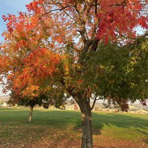 RAGLE RANCH REGIONAL PARK - 56 Photos & 42 Reviews - 500 Ragle Rd ...