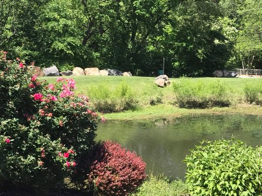 CLAYMONT PUBLIC LIBRARY - Updated October 2025 - 15 Photos - 400 Lenape ...