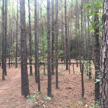 FAULKEY GULLY HIKE AND BIKE TRAIL - Updated September 2025 - 32 Photos ...