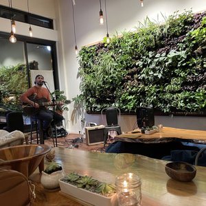 BULA KAVA HOUSE - 86 Photos & 124 Reviews - 3115 SE Division St, Portland, Oregon - Lounges ...