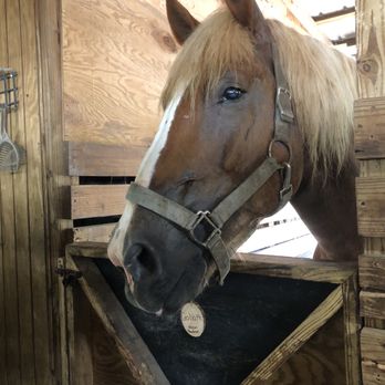 HAPPI FARM - Updated September 2025 - 367 Photos & 150 Reviews - 10251 ...