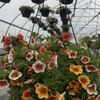 MENARDS - Updated May 2025 - 24 Reviews - 3200 N Wayne St, Angola ...