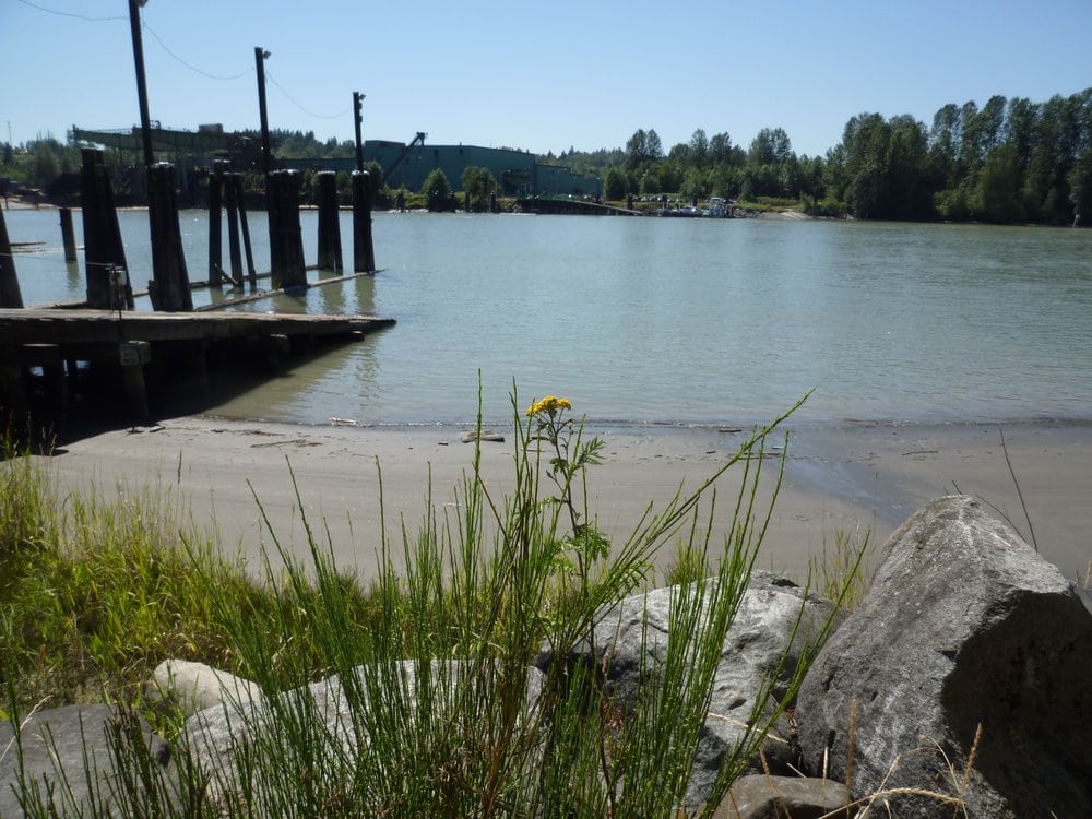 BARNSTON ISLAND - Updated January 2026 - Surrey, British Columbia ...