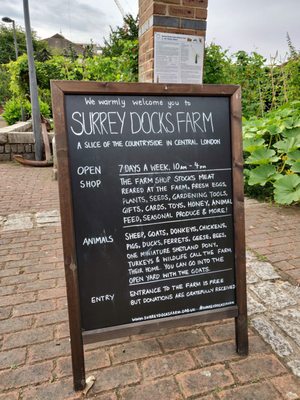 SURREY DOCKS FARM - Updated October 2025 - 24 Photos & 14 Reviews ...