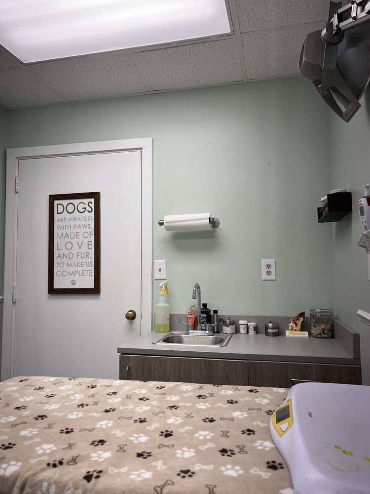 FORT CAROLINE ANIMAL CLINIC - Updated September 2025 - 25 Photos & 40 ...