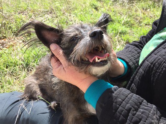 SAUGUS ANIMAL HOSPITAL - 35 Photos & 119 Reviews - Veterinarians ...