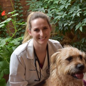 ANIMAL PROTECTIVE LEAGUE - Updated October 2025 - 1001 Taintor Rd ...