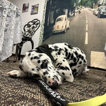 BRITISH TEA HOUSE - Updated December 2025 - 28 Photos & 33 Reviews ...