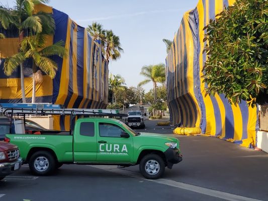 CURA TERMITE & PEST CONTROL - Updated May 2026 - 117 Photos & 515 ...