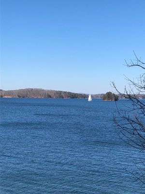 LITTLE RIDGE PARK - 37 Photos - 3285-3299 Lanier Beach South Rd ...