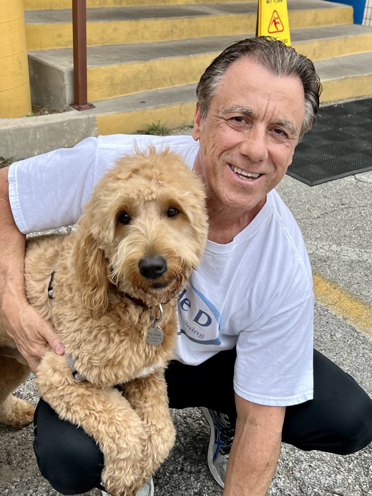 DOUBLE D DOG TRAINING - Updated June 2026 - 65 Photos & 17 Reviews ...