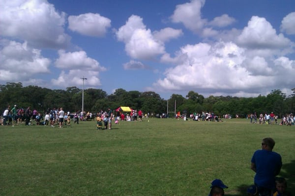 MARSFIELD PARK - 194-200 Vimiera Rd, Marsfield New South Wales ...