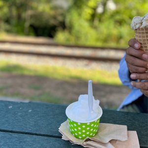 BOGEY’S ICE CREAM - Updated August 2025 - 52 Photos & 38 Reviews - 205 ...