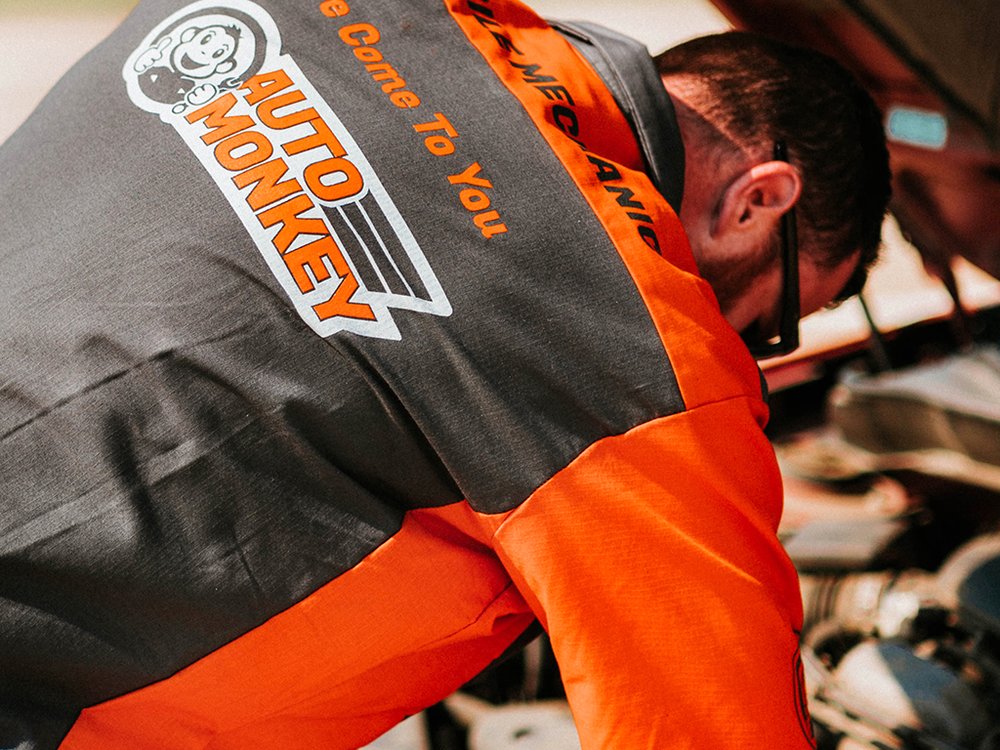 AUTO MONKEY - TEMPE - Updated November 2025 - 16 Photos - Tempe ...