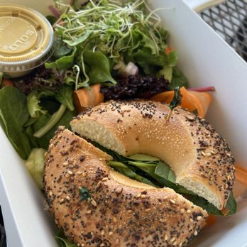 JAVA FLATS - Updated December 2025 - 59 Photos & 72 Reviews - 11206 W ...