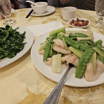 CANTON MANOR - Updated May 2025 - 810 Photos & 140 Reviews - 220-15 ...