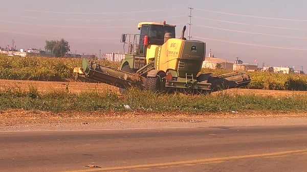 OLD RIVER GOLF COURSE - Updated December 2025 - 32 Photos & 51 Reviews ...