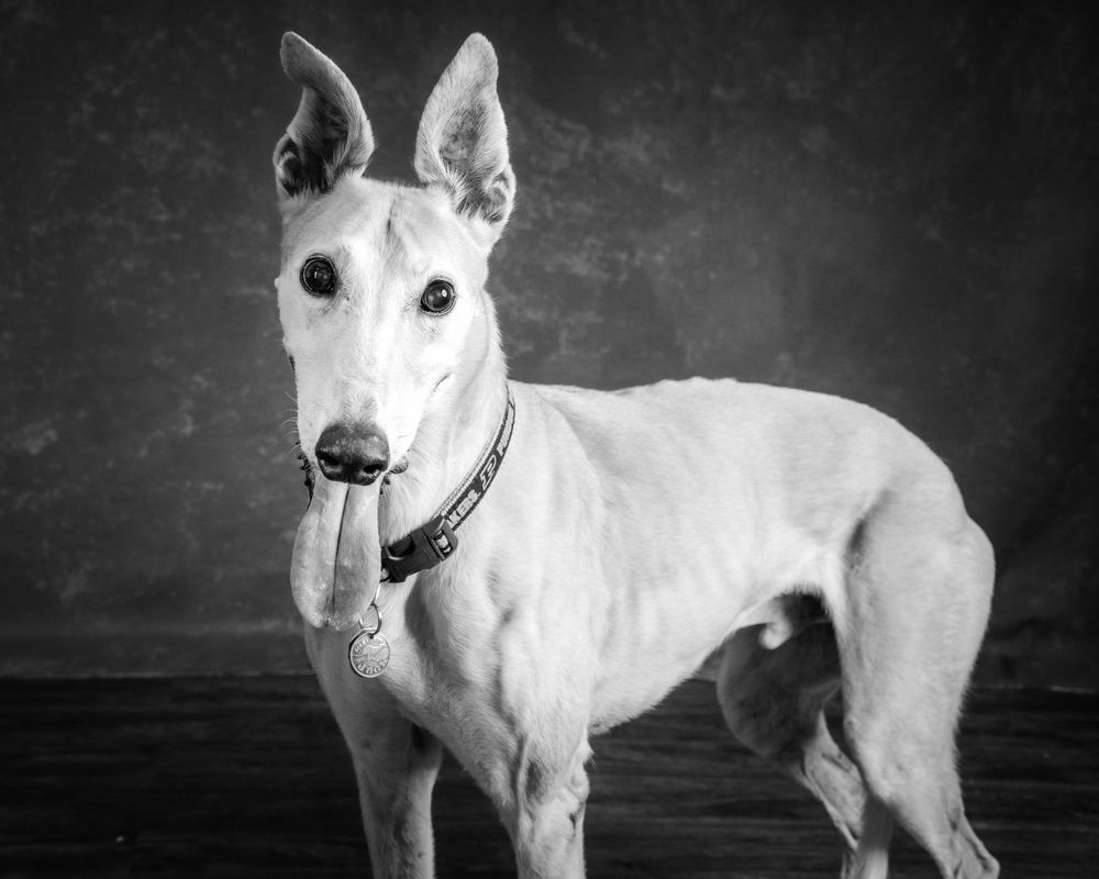 KRISTAL STUDIOS - Updated October 2025 - 18 Photos & 27 Reviews - Boca ...