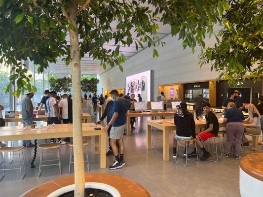 APPLE PIONEER PLACE - Updated December 2025 - 135 Photos & 426 Reviews ...