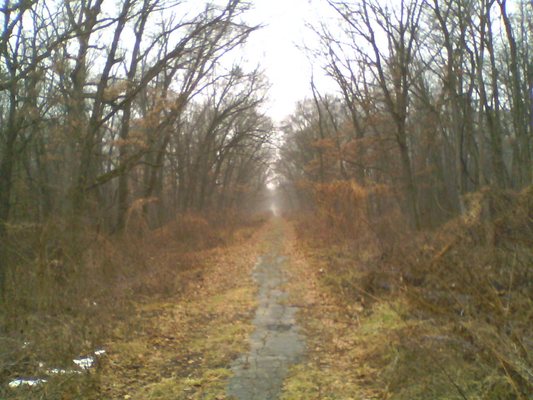 OAK RIDGE PRAIRIE COUNTY PARK - 27 Photos - Hiking - 301 S Colfax St ...