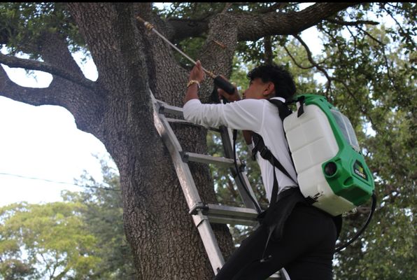 INVASIVE PEST CONTROL - Updated May 2026 - 23 Photos & 21 Reviews - 250 ...