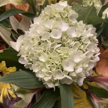 SPRING HOUSE - Updated February 2025 - 102 Photos & 35 Reviews - 91 W ...