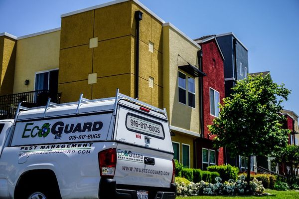 ECOGUARD - Updated October 2025 - 105 Photos - 920 Reviews - 808 ...