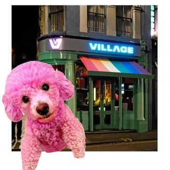 THE PINK POODLE CLUB - Updated May 2024 - 81 Wardour Street, London ...